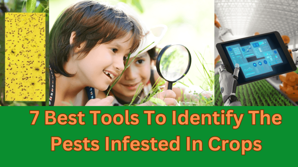 7 Best Tools To Identify The Pests Infested In Crops. - Agritell.com