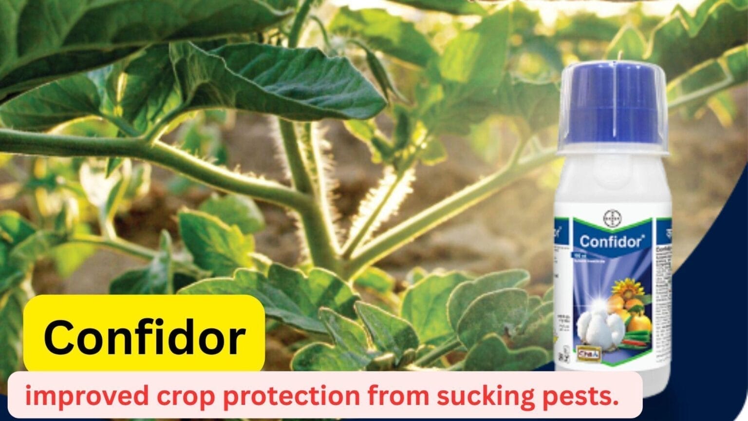 Benevia Insecticide: Effective Solution for Pest Control