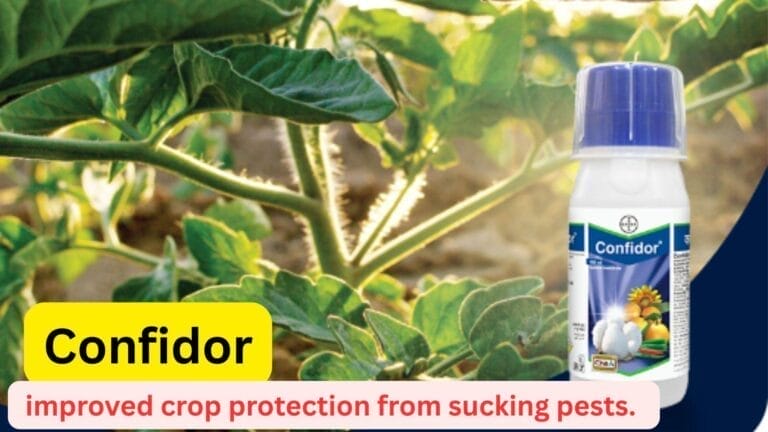Confidor Insecticide: Advanced Pest Control Solutions