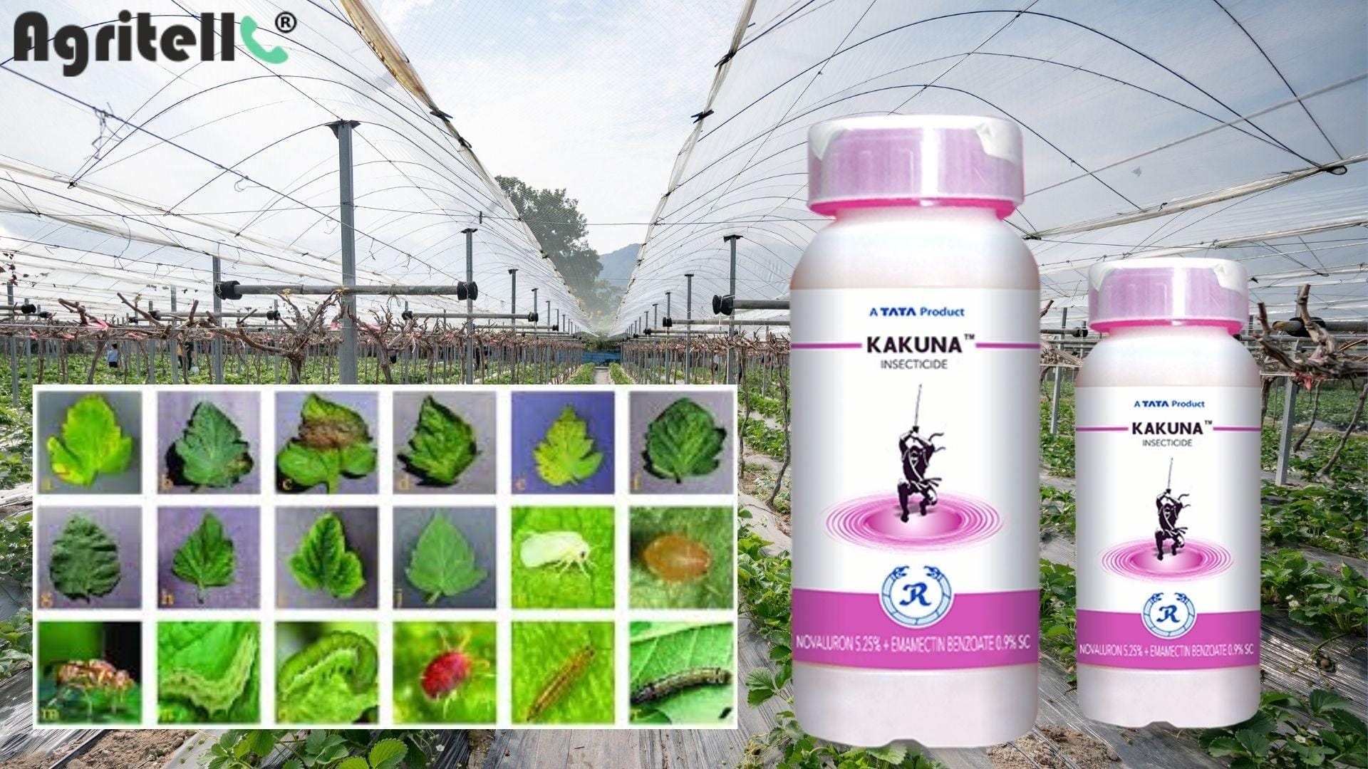 Benevia Insecticide: Effective Solution for Pest Control