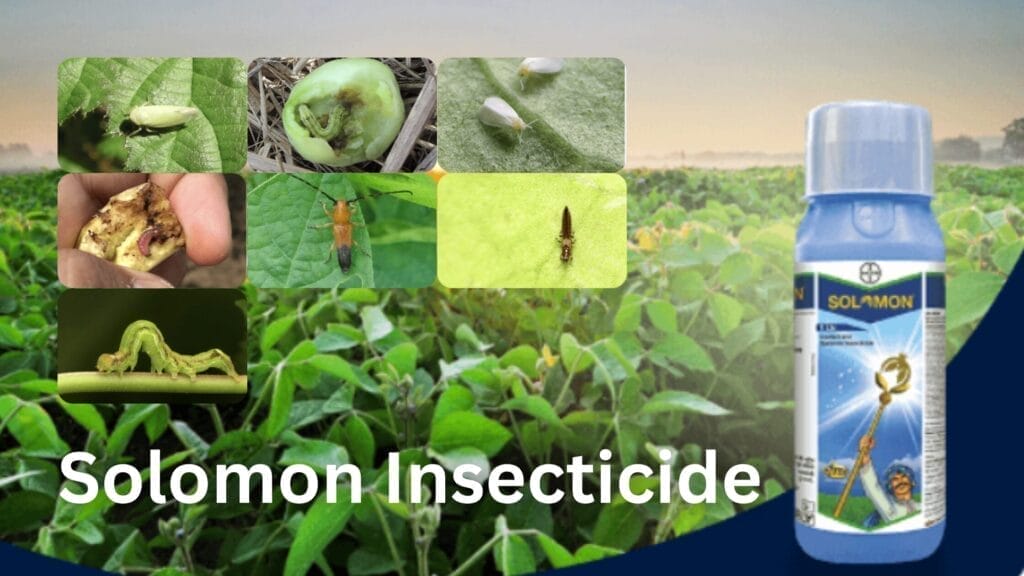 Bayer Solomon Insecticide: A Comprehensive Guide for Farmers - Agritell.com