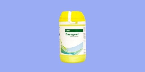 Basagran Herbicide: A Reliable Post-Emergent Solution for Tough ...