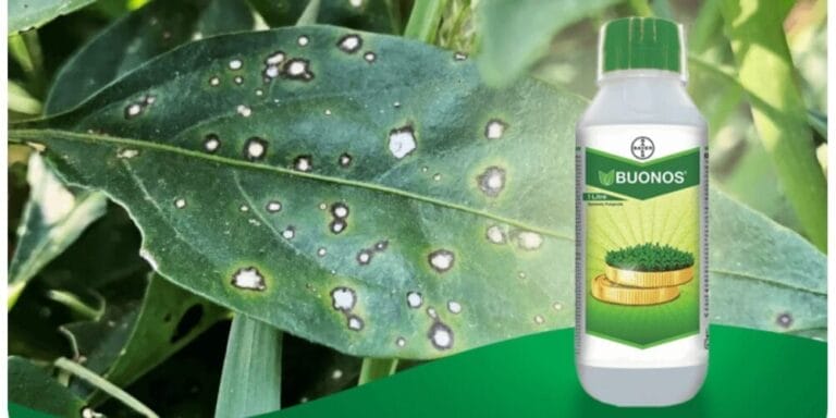Bayer Buonos Fungicide: A Complete Guide for Farmers