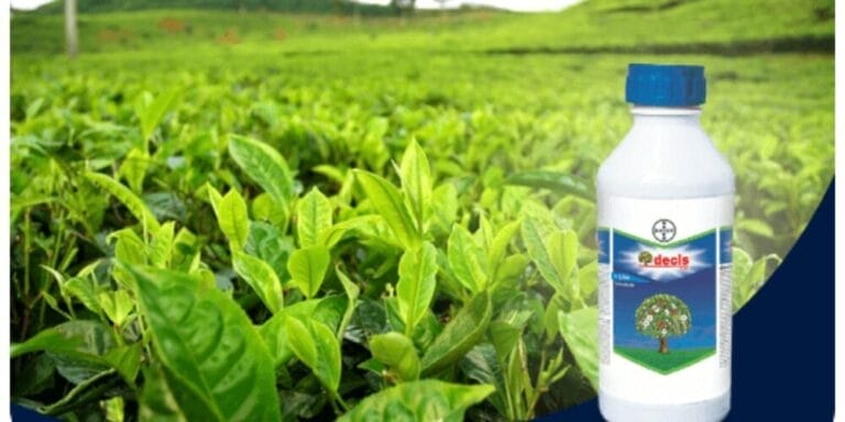 Bayer Decis® 100 Insecticide: A Powerful Solution for Effective Pest Control