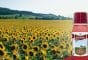 Simodis Insecticide: Advanced Insecticide with PLINAZOLIN®