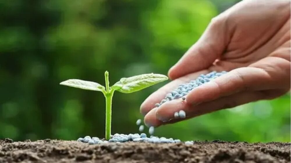 Top 10 Advantages of Biological Fertilizer - Agritell.com